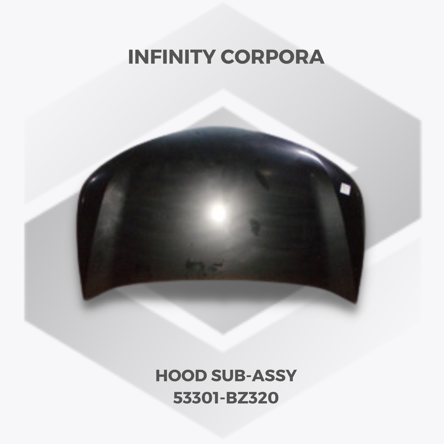 HOOD SUB-ASSY - Infinity Corpora System